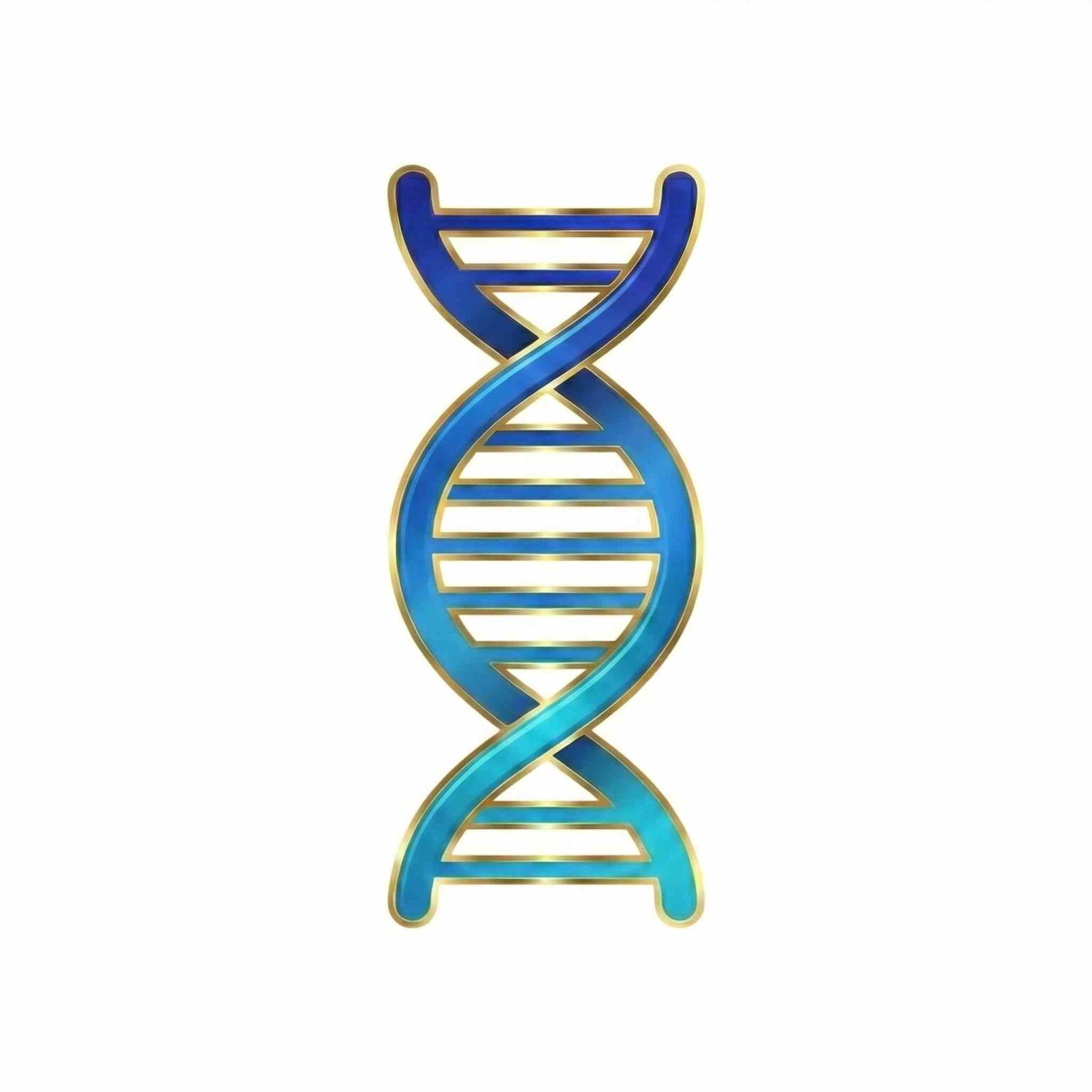 Innovative Health Products | Strengthened Immune System | Phipower